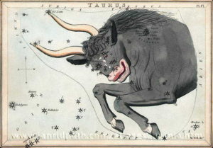 Taurus Constellation Facts For Kids (with illustrations)