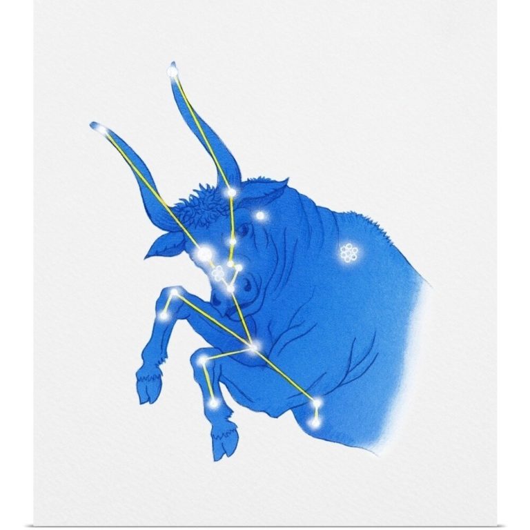 Taurus Constellation Facts For Kids (with illustrations)