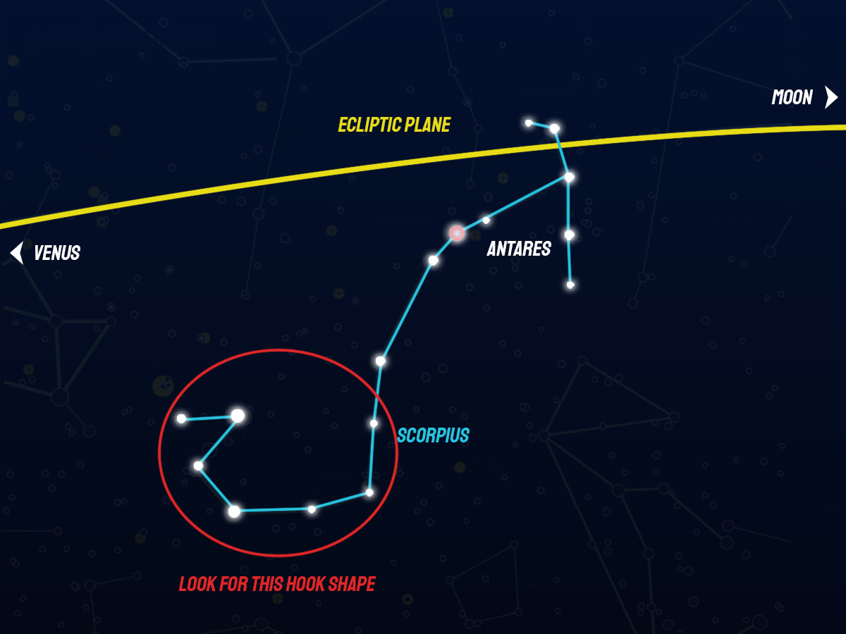 How and When to Find the Scorpius Constellation