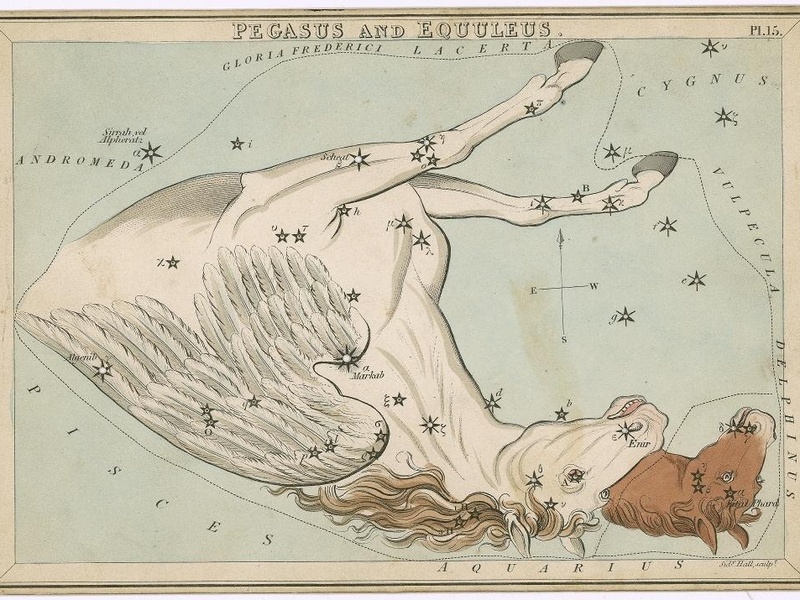 Types of Constellations: The Complete List - Little Astronomy